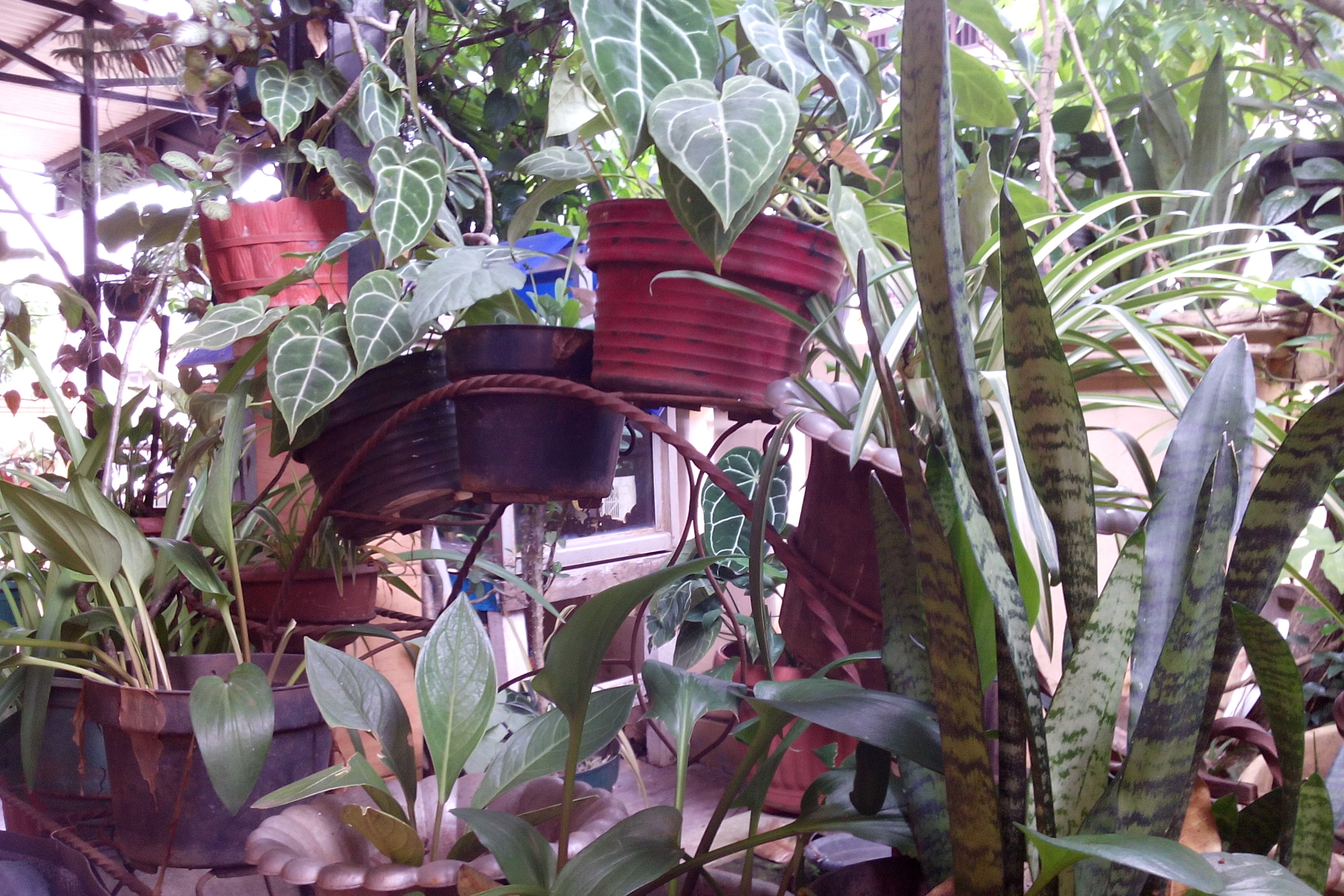 Review Advan Barca Tab: Tablet Android Octa-Core untuk Fans FC ...