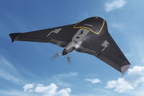 Elang Jadi Musuh Drone di Australia • Jagat Review